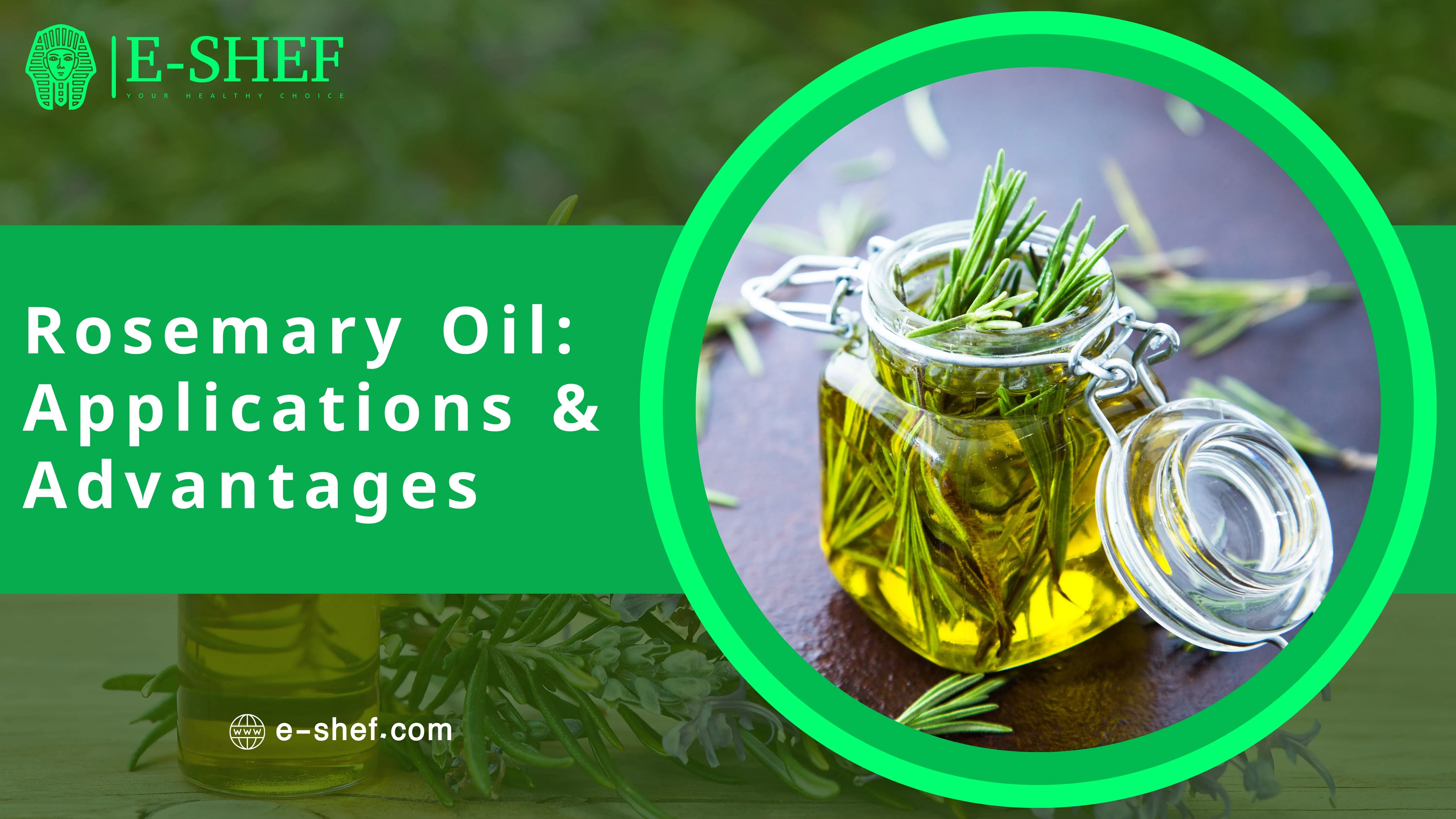 Rosemary Oil: Uses, Benefits & How To Apply